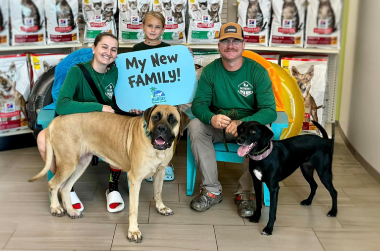 Home - Halifax Humane Society