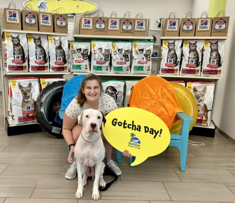 Adopt A Pet - Halifax Humane Society